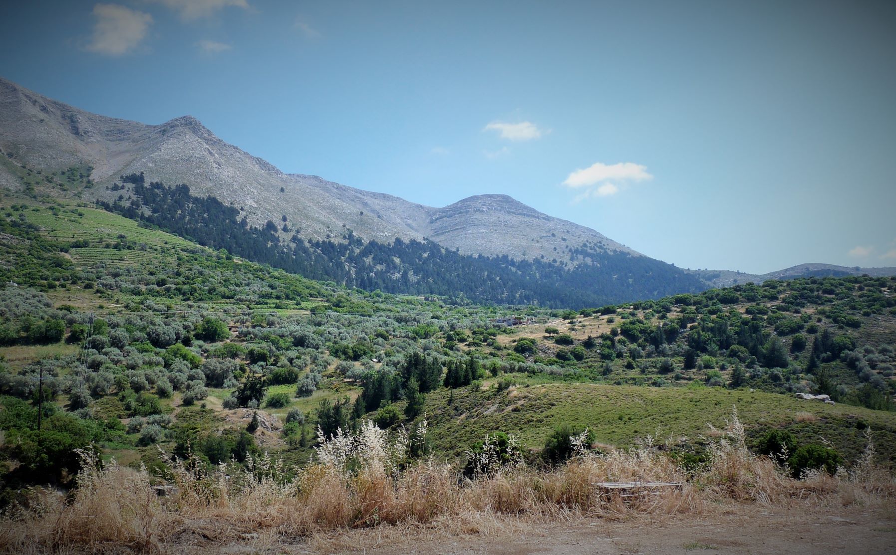 Excursions Privées Rhodes - Circuits découverte - Rhodes Grèce